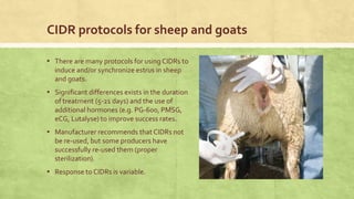 Out of-season breeding and accelerated birthing | PPTX