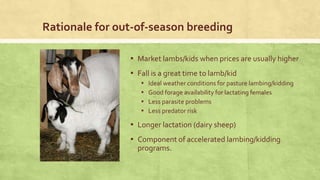 Out of-season breeding and accelerated birthing | PPTX