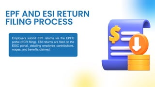 introduction of EPF and ESI Returns presented by outbay | PDF