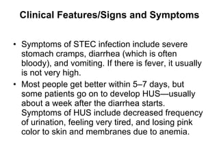 Outbreak of shiga toxin producing e coli | PPT