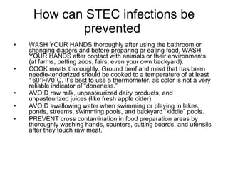 Outbreak of shiga toxin producing e coli | PPT