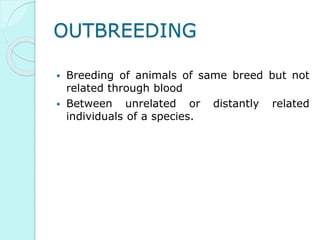 Outbreeding | PPTX