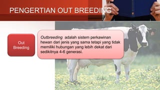OUT BREEDING.pptx
