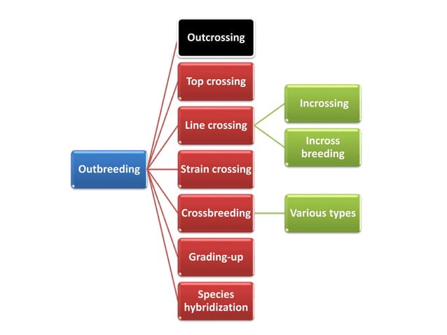 out breeding.pptx | Genetics | Science