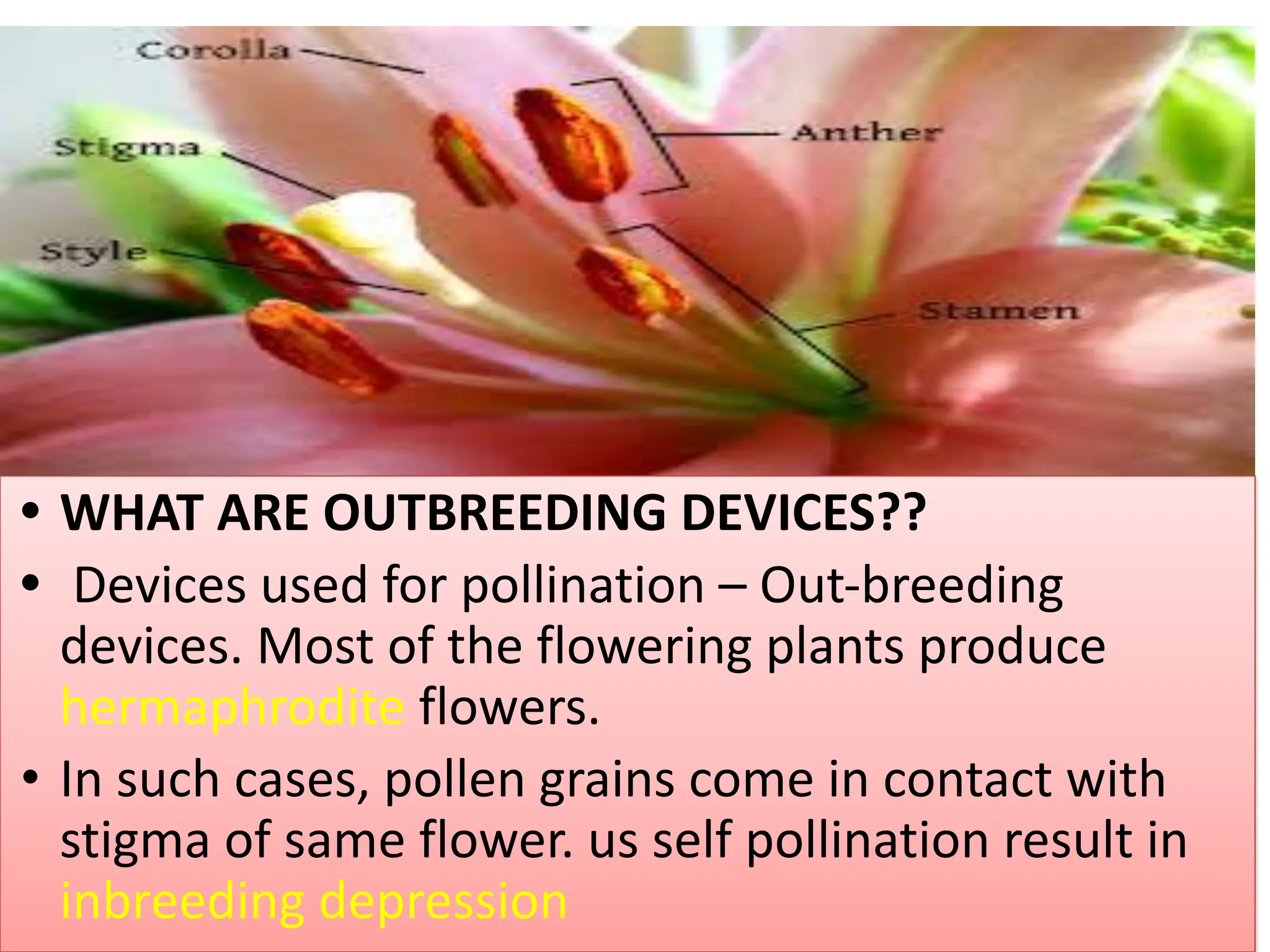 Out breeding devices .pptx.pdf Class XII | PDF