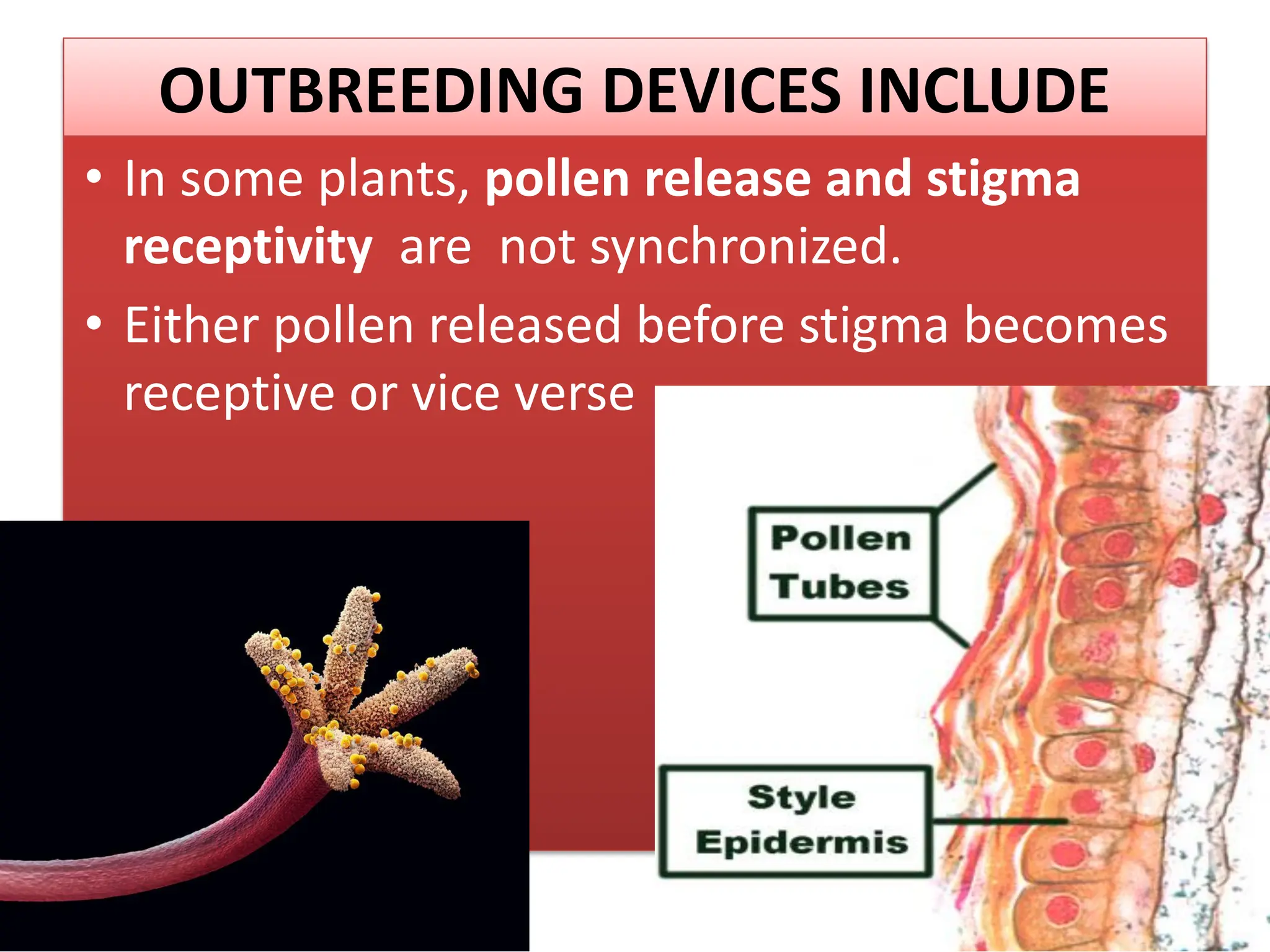 Out breeding devices .pptx.pdf Class XII | PDF