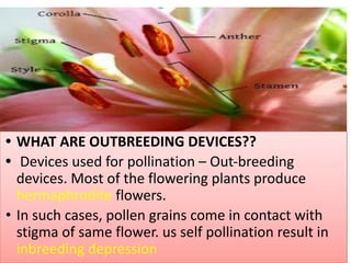 Out breeding devices .pptx.pdf Class XII | PDF