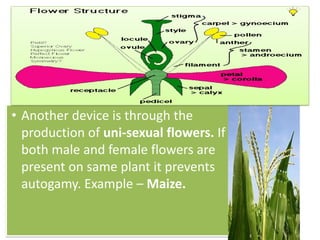 Out breeding devices .pptx.pdf Class XII | PDF