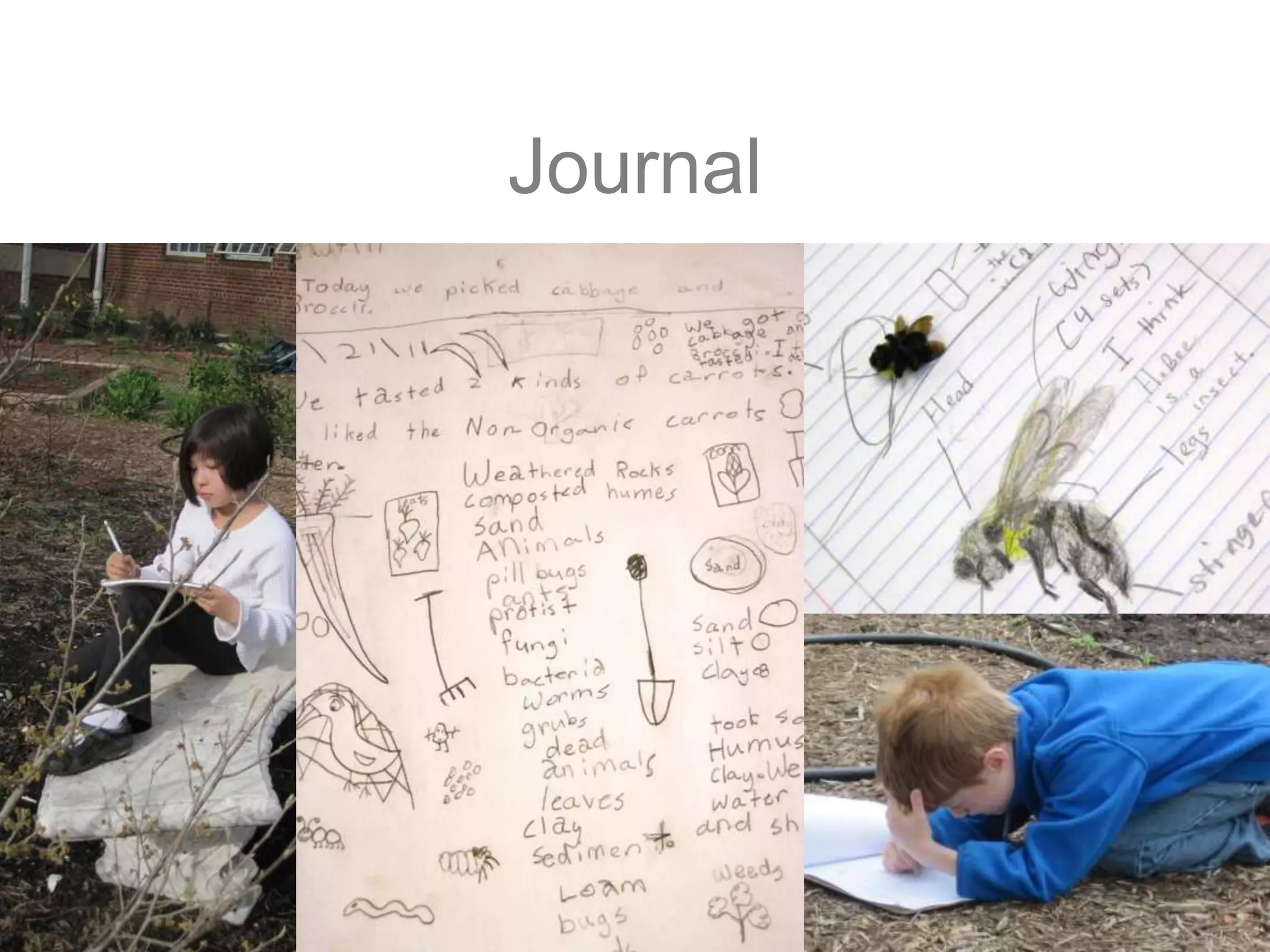 Outdoor Learning What Clicks With Kids | PPT