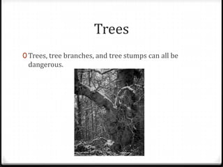 Outdoor safety | PPTX