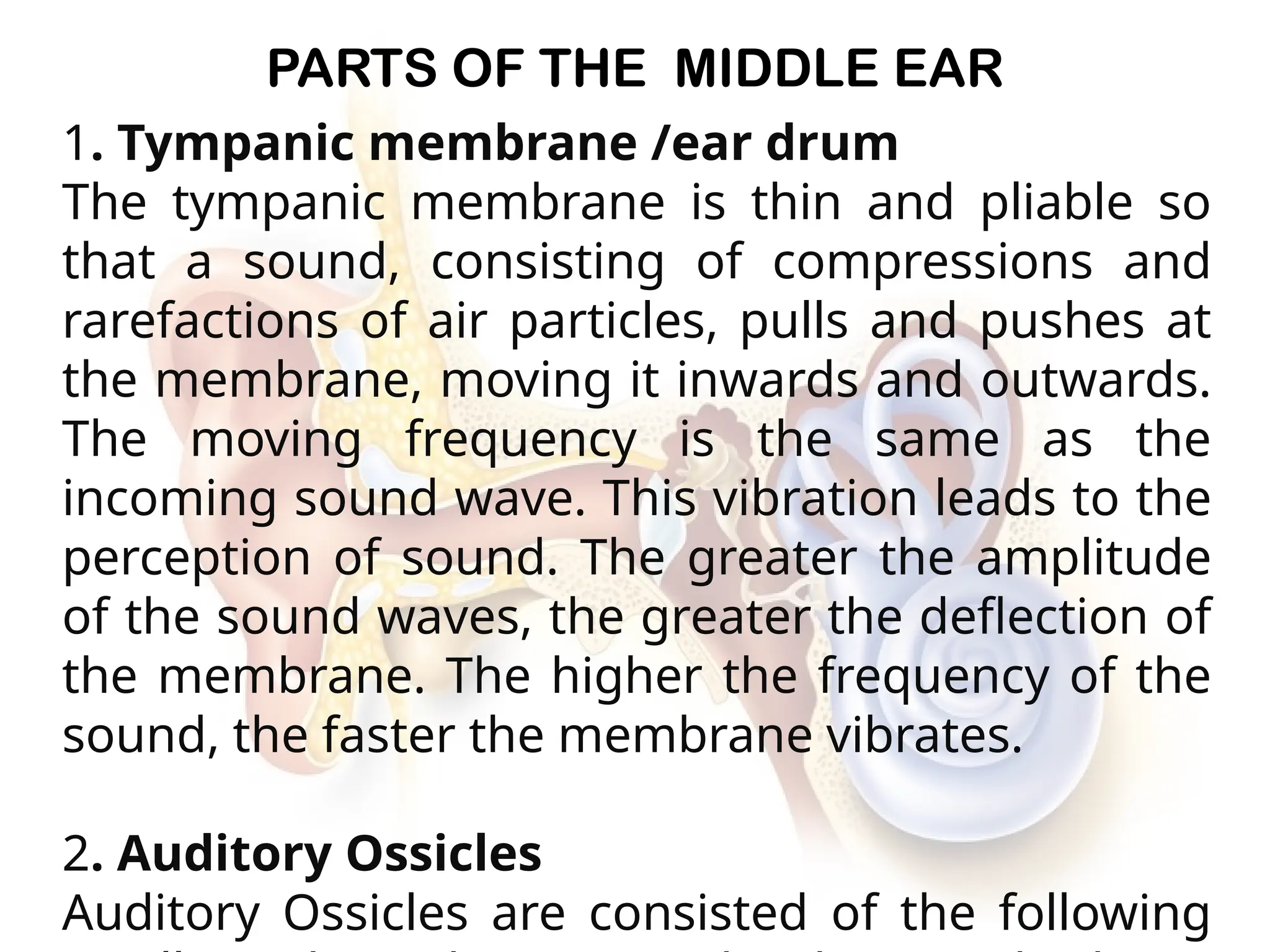outer and middle ear functions in auditory processes, abnormalities ...
