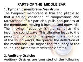 outer and middle ear functions in auditory processes, abnormalities ...