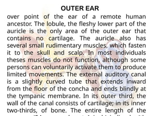 outer and middle ear functions in auditory processes, abnormalities ...