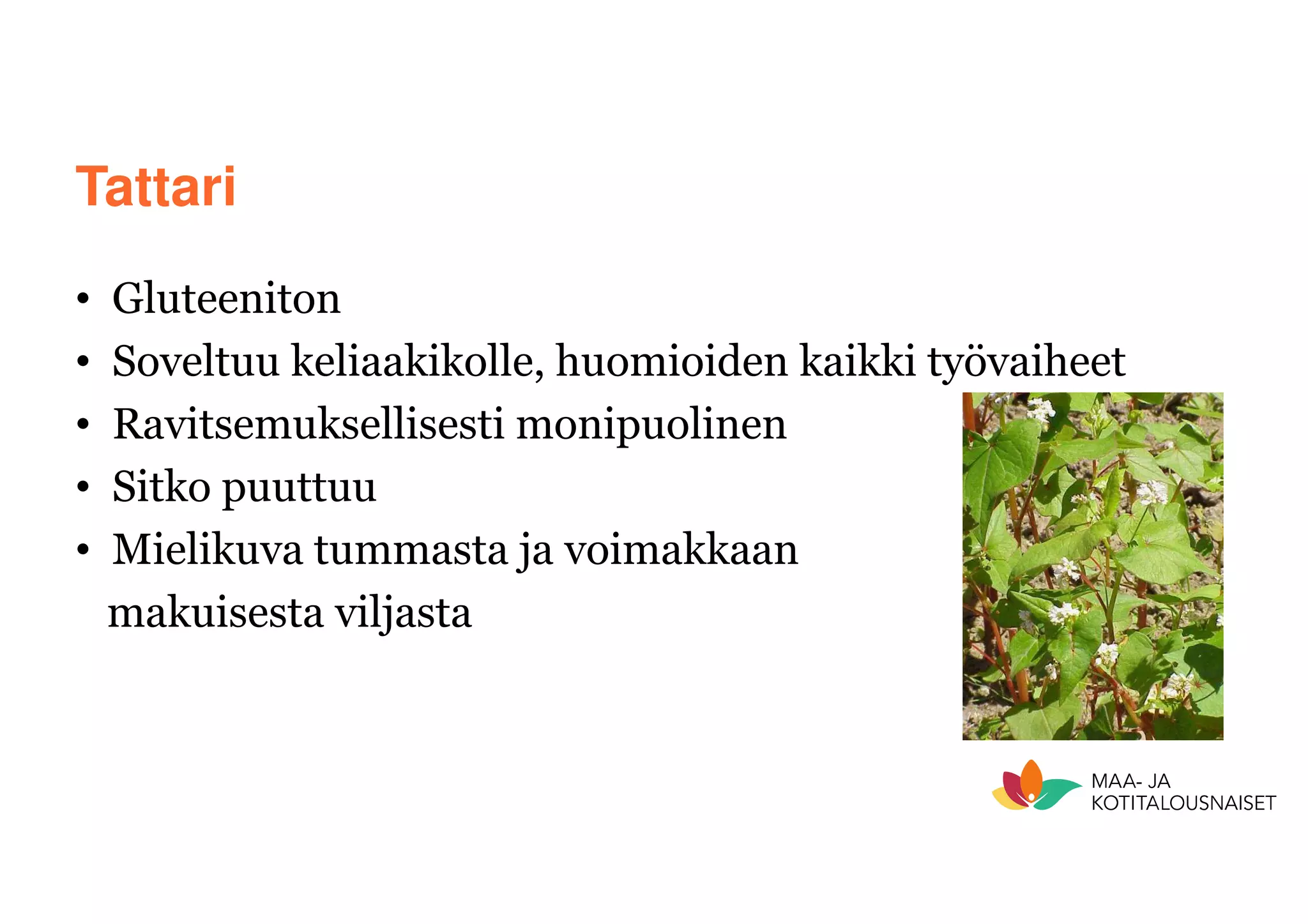 Tattari ruoanvalmistuksessa ja leivonnassa | PDF