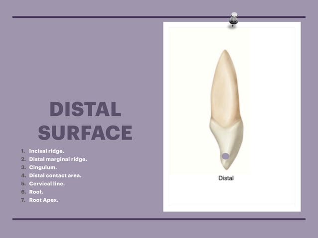 Outline. U1.pdf | Free Download