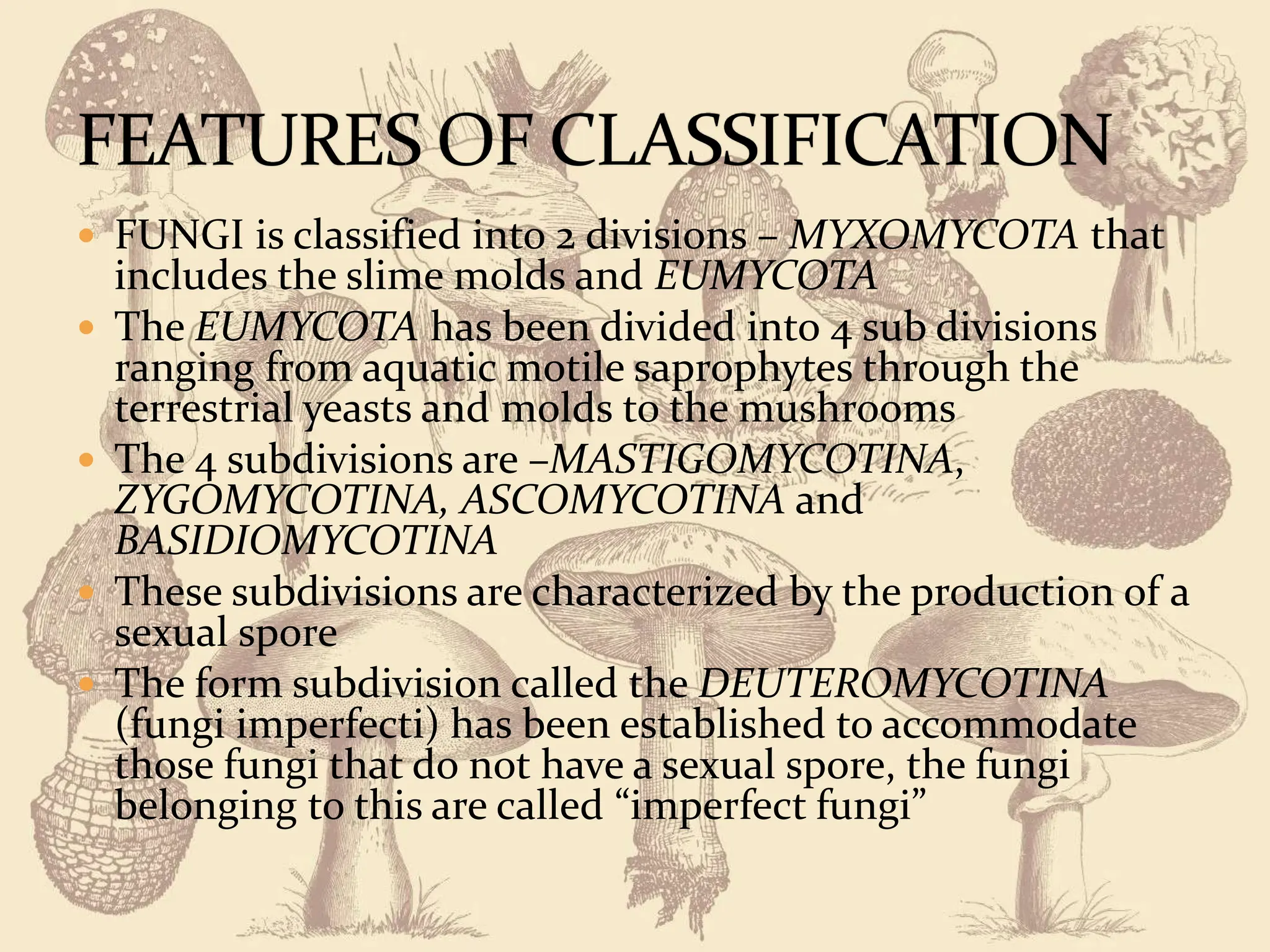 OUTLINE CLASSIFICATION OF FUNGI.pptx