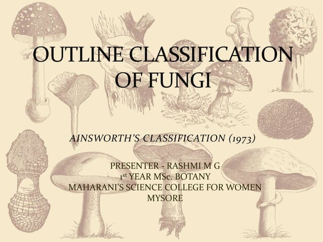 OUTLINE CLASSIFICATION OF FUNGI.pptx