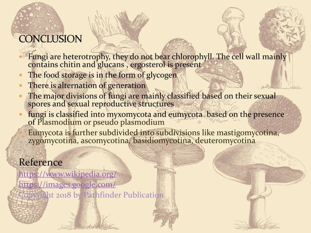 OUTLINE CLASSIFICATION OF FUNGI.pptx