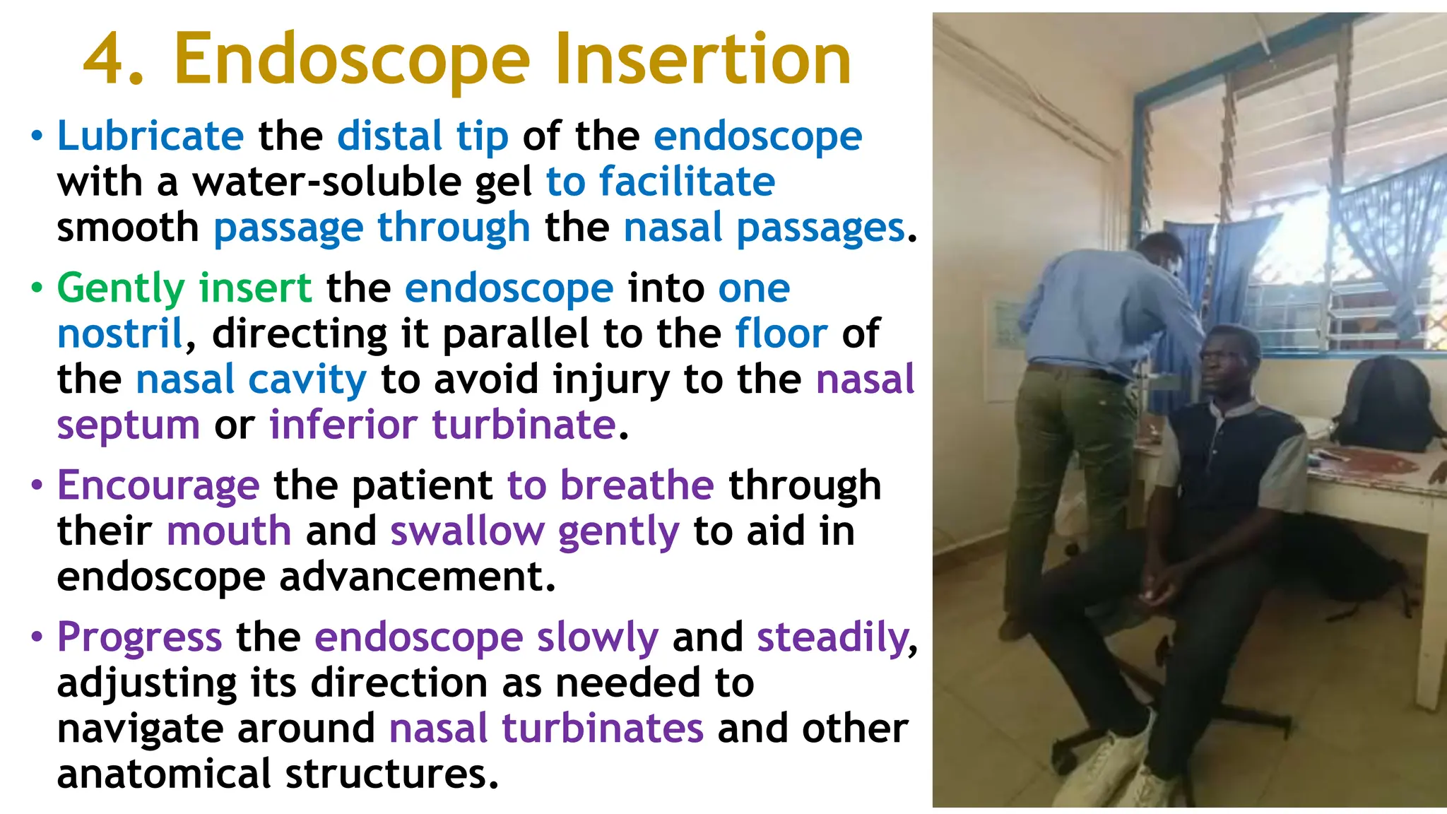 Outline the Transnasal visualization of the pharynx,larynx,.pptx