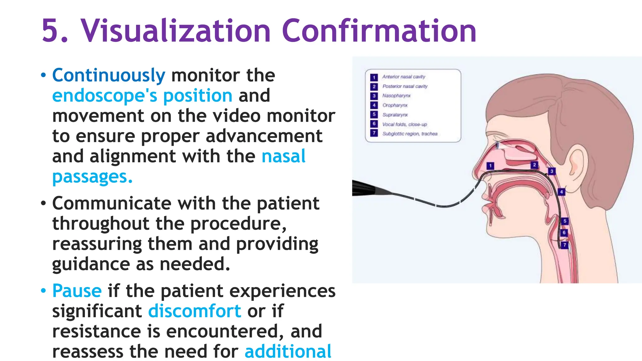 Outline the Transnasal visualization of the pharynx,larynx,.pptx