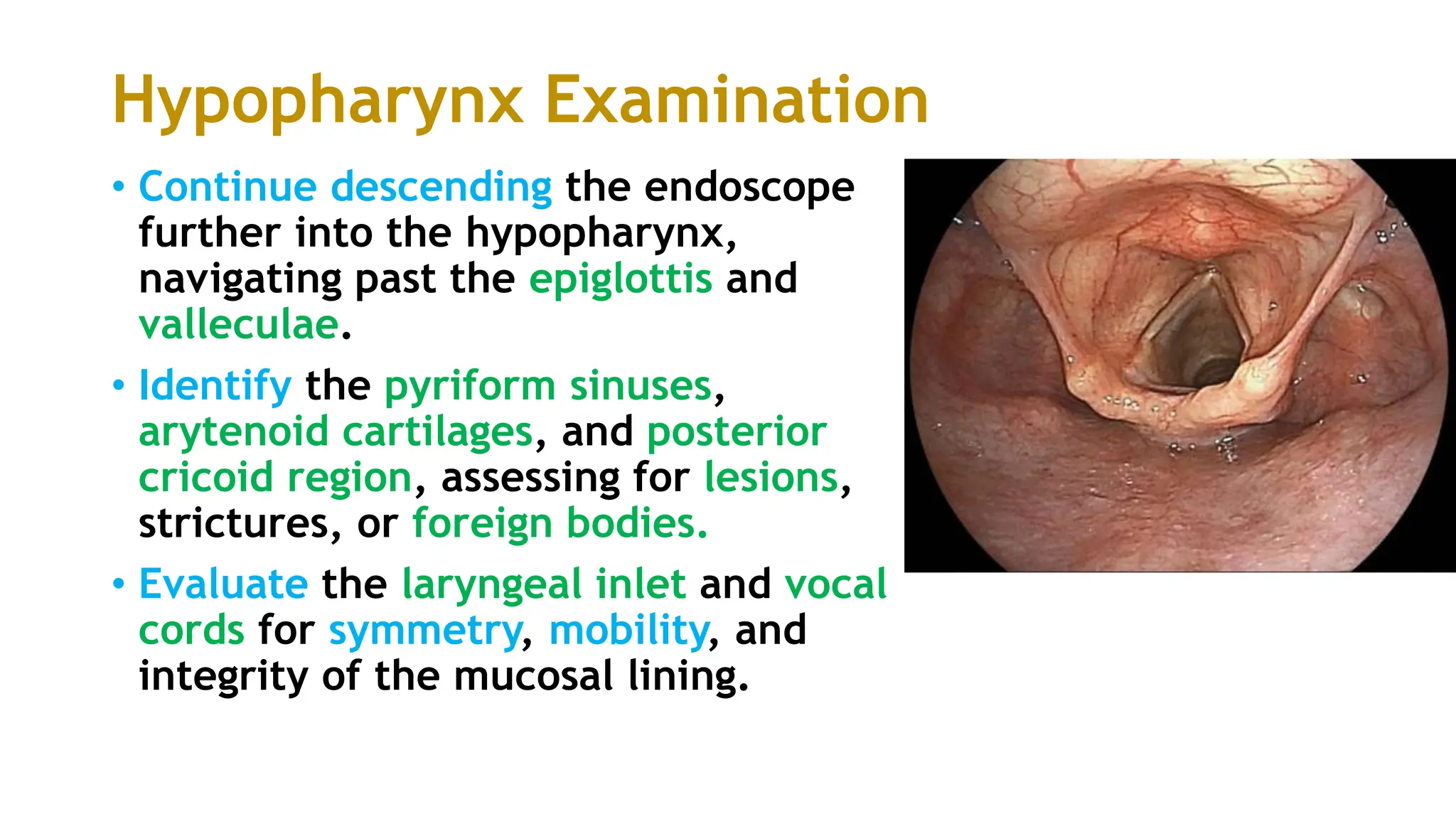 Outline the Transnasal visualization of the pharynx,larynx,.pptx