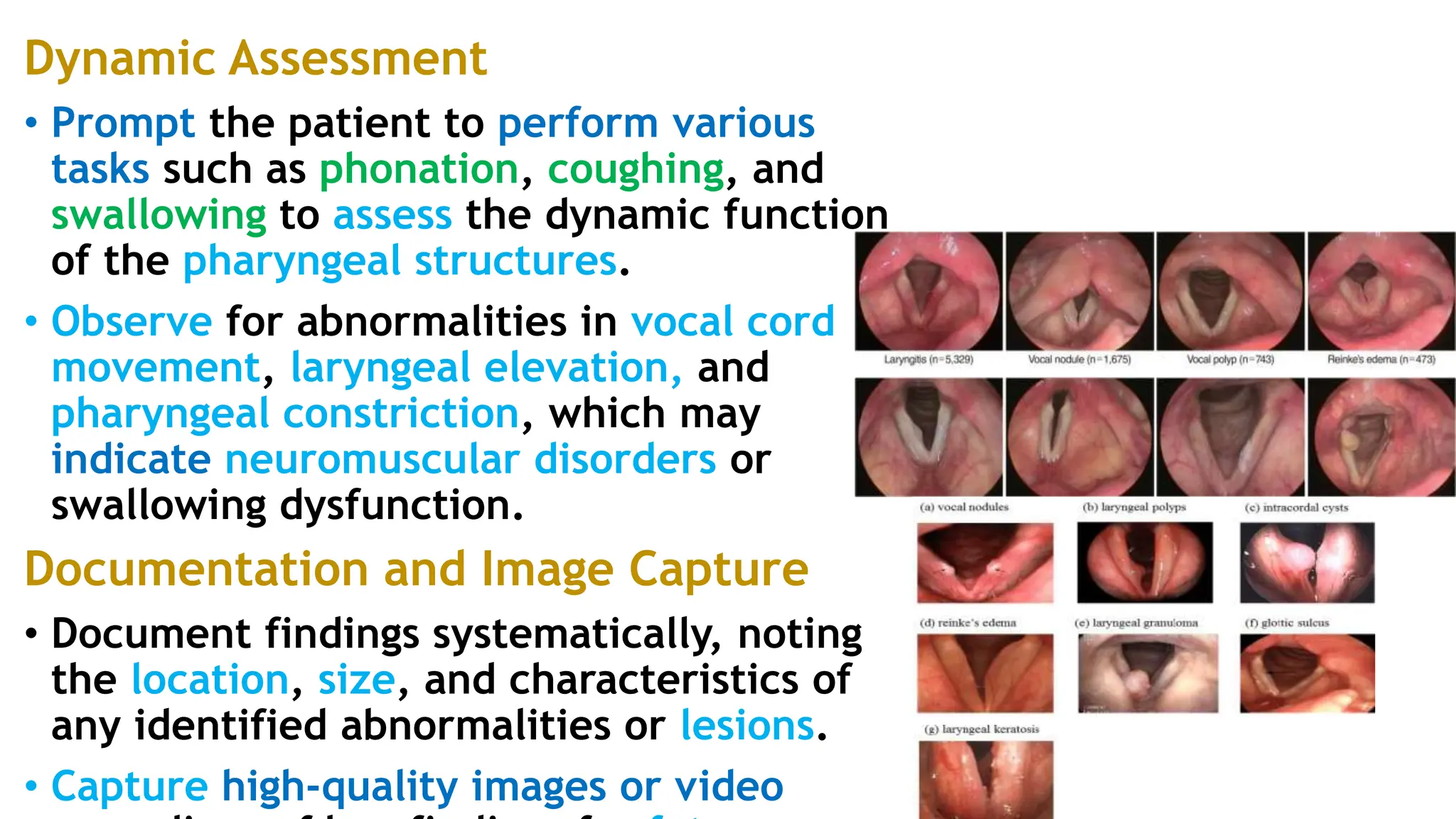 Outline the Transnasal visualization of the pharynx,larynx,.pptx