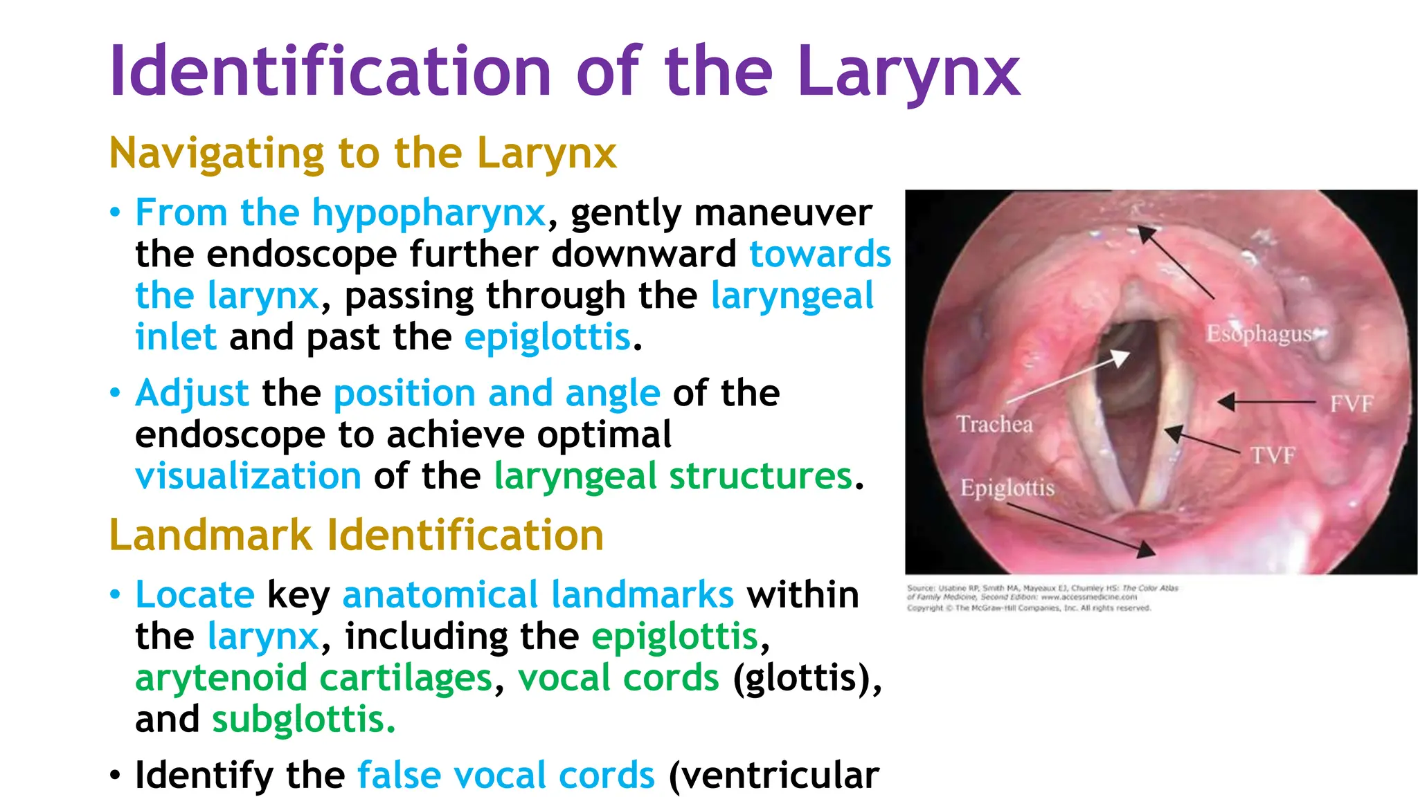 Outline the Transnasal visualization of the pharynx,larynx,.pptx