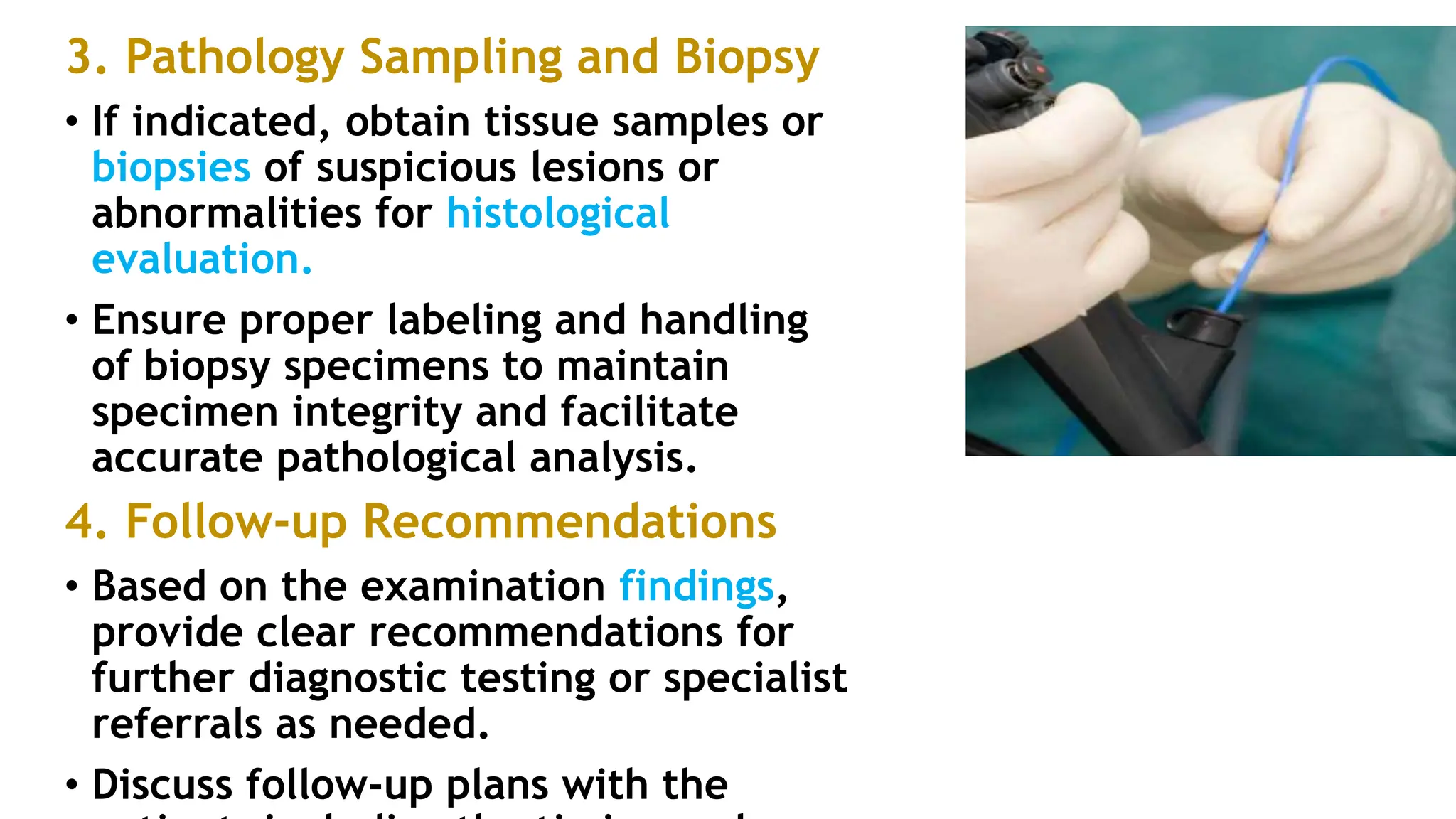 Outline the Transnasal visualization of the pharynx,larynx,.pptx