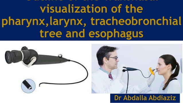 Outline the Transnasal visualization of the pharynx,larynx,.pptx | Ear ...