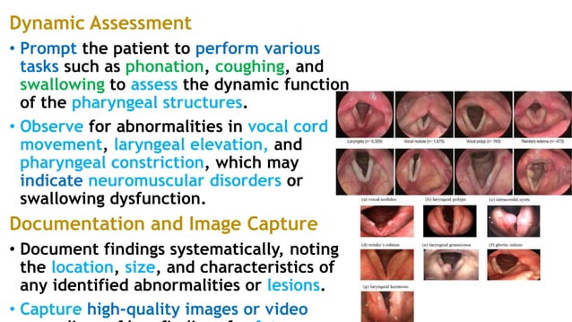 Outline the Transnasal visualization of the pharynx,larynx,.pptx | Ear ...