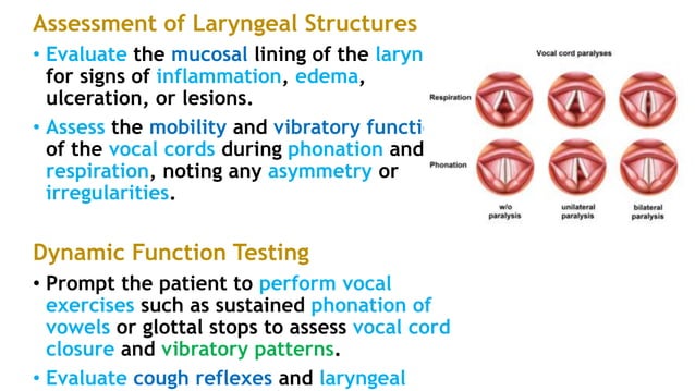 Outline the Transnasal visualization of the pharynx,larynx,.pptx | Ear ...