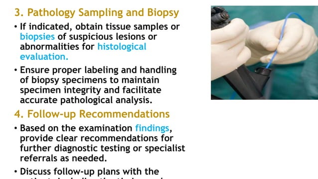 Outline the Transnasal visualization of the pharynx,larynx,.pptx | Ear ...