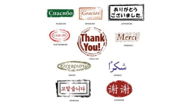 Outline the Transnasal visualization of the pharynx,larynx,.pptx | Ear ...