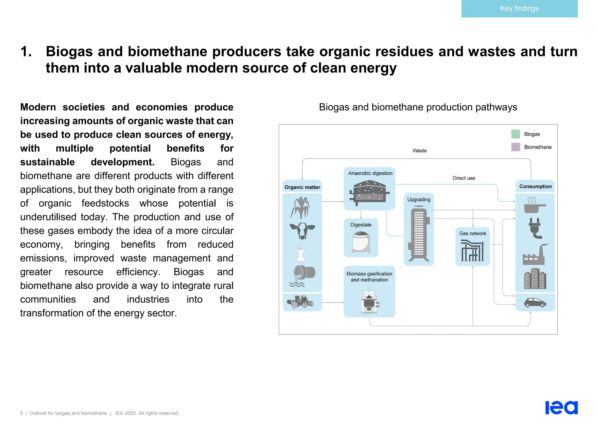 Outlook_for_biogas_and_biomethane.pdf