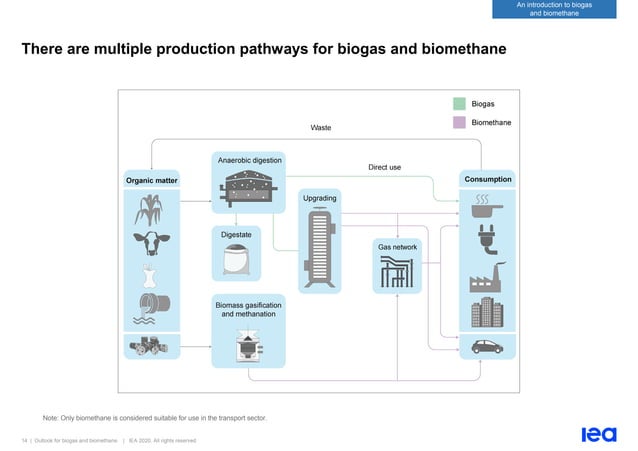 Outlook_for_biogas_and_biomethane.pdf
