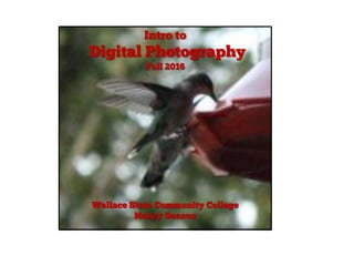 Lab exercise 5 | PPT