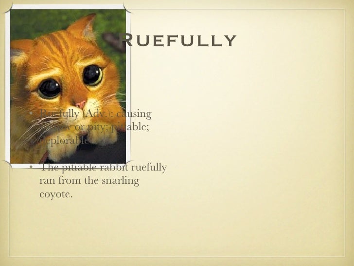 Outsiders Vocabulary