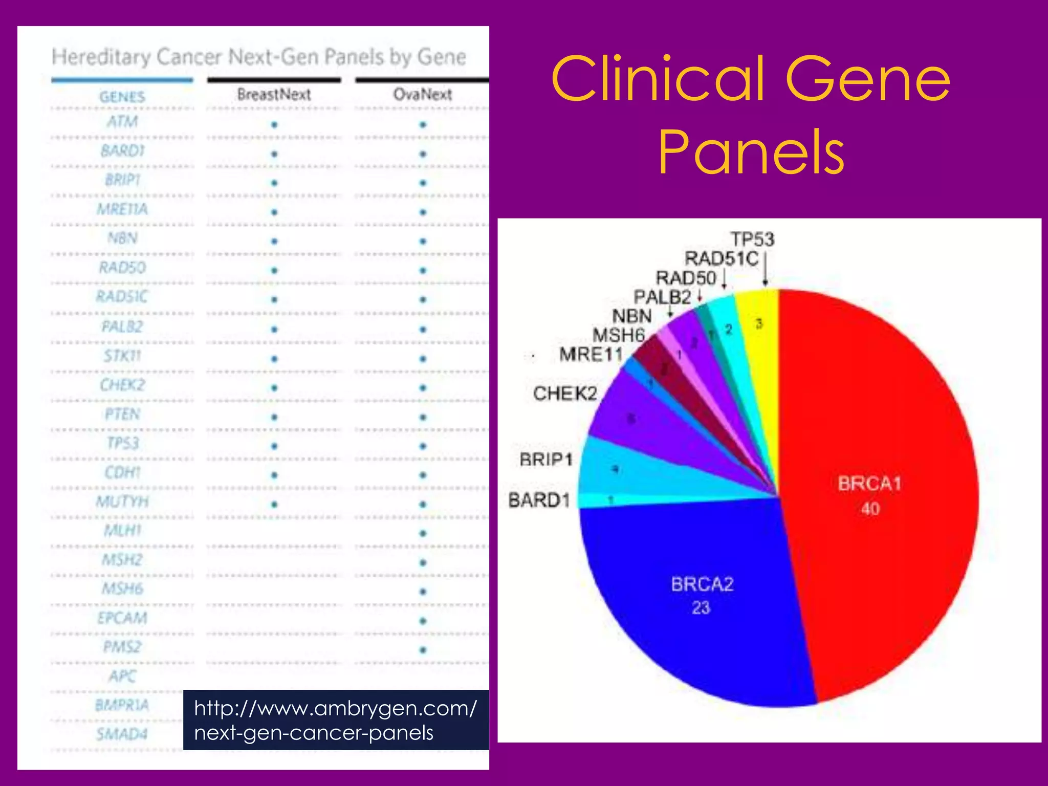 Understanding BRCA1/2 Cancer Risk | PPTX