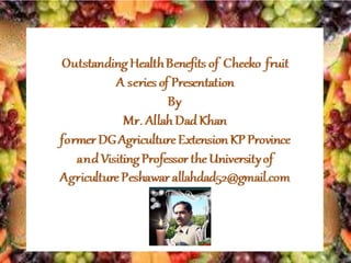 Outstanding health benefits of cheeko ( sapota) fruit A series of ...