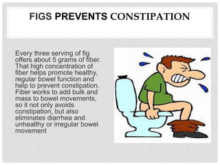 Outstanding health benefits of fig fruit A series of Presentation By Mr ...
