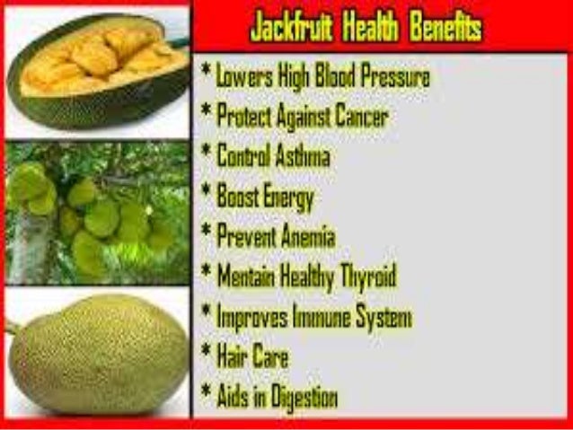 Outstanding health benefits of jack fruit A series of Presentation By…
