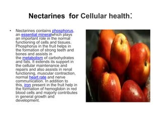 Outstanding health benefits of nectarine fruit A series of Presentation ...