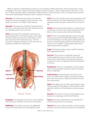 Anatomy for reiki | PDF | Endocrine and Metabolic Diseases | Diseases ...