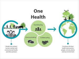 One health | PDF