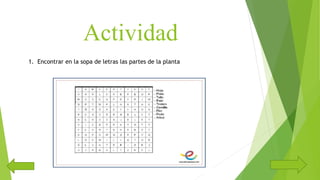 PLANTA | PPTX