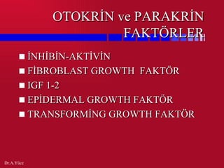 Ovarian Siklus - www.jinekolojivegebelik.com