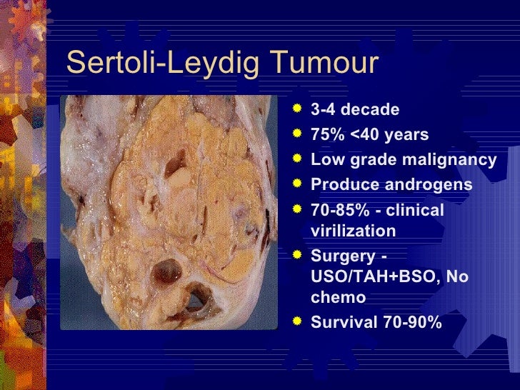 Ovarian Tumor