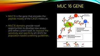 Ovarian cancer screening | PPTX