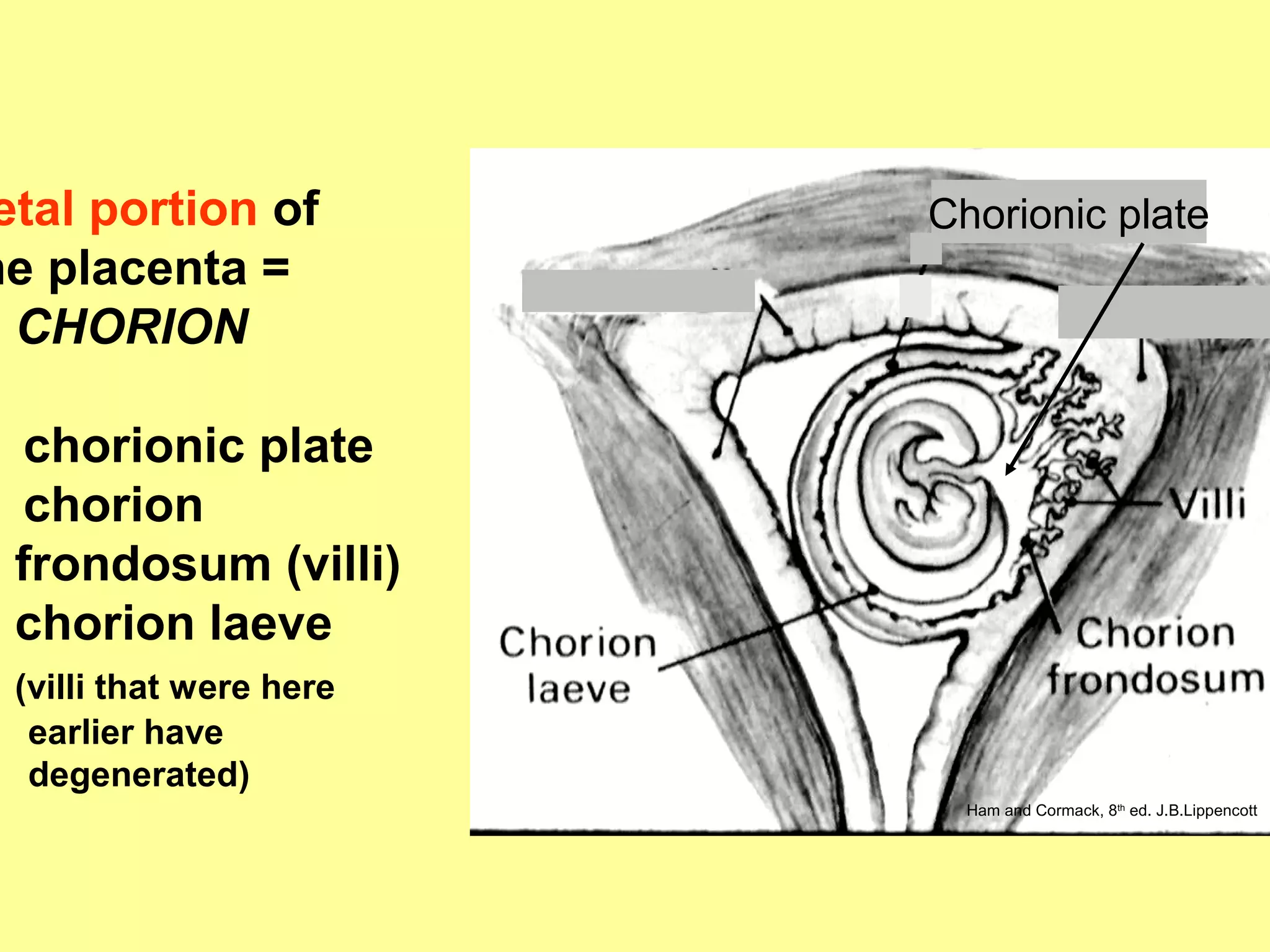 Ovarian cycle | PPT