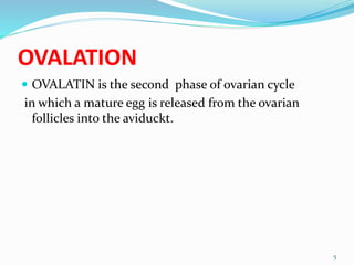 Ovarian cycle | PPTX